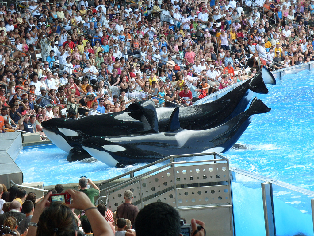 SeaWorld Parks & Entertainment | Our Parks | SeaWorld