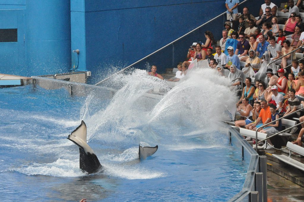 SeaWorld Parks & Entertainment | Our Parks | SeaWorld