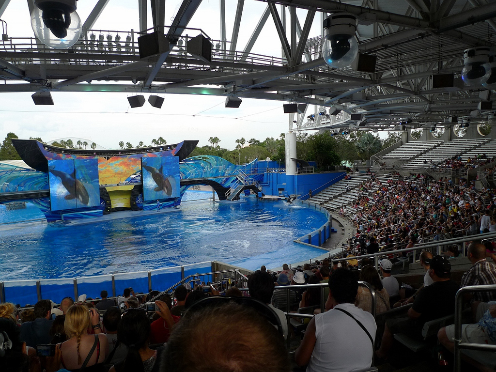 SeaWorld Parks & Entertainment | Latest News