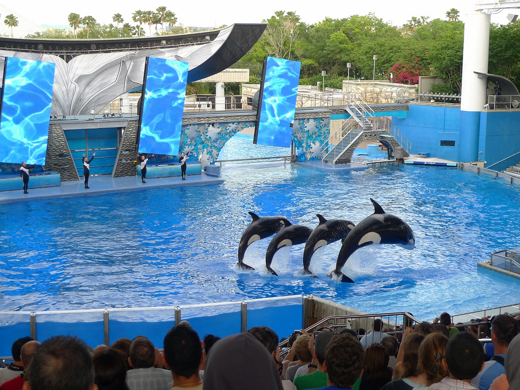 SeaWorld Parks & Entertainment | Our Parks | SeaWorld
