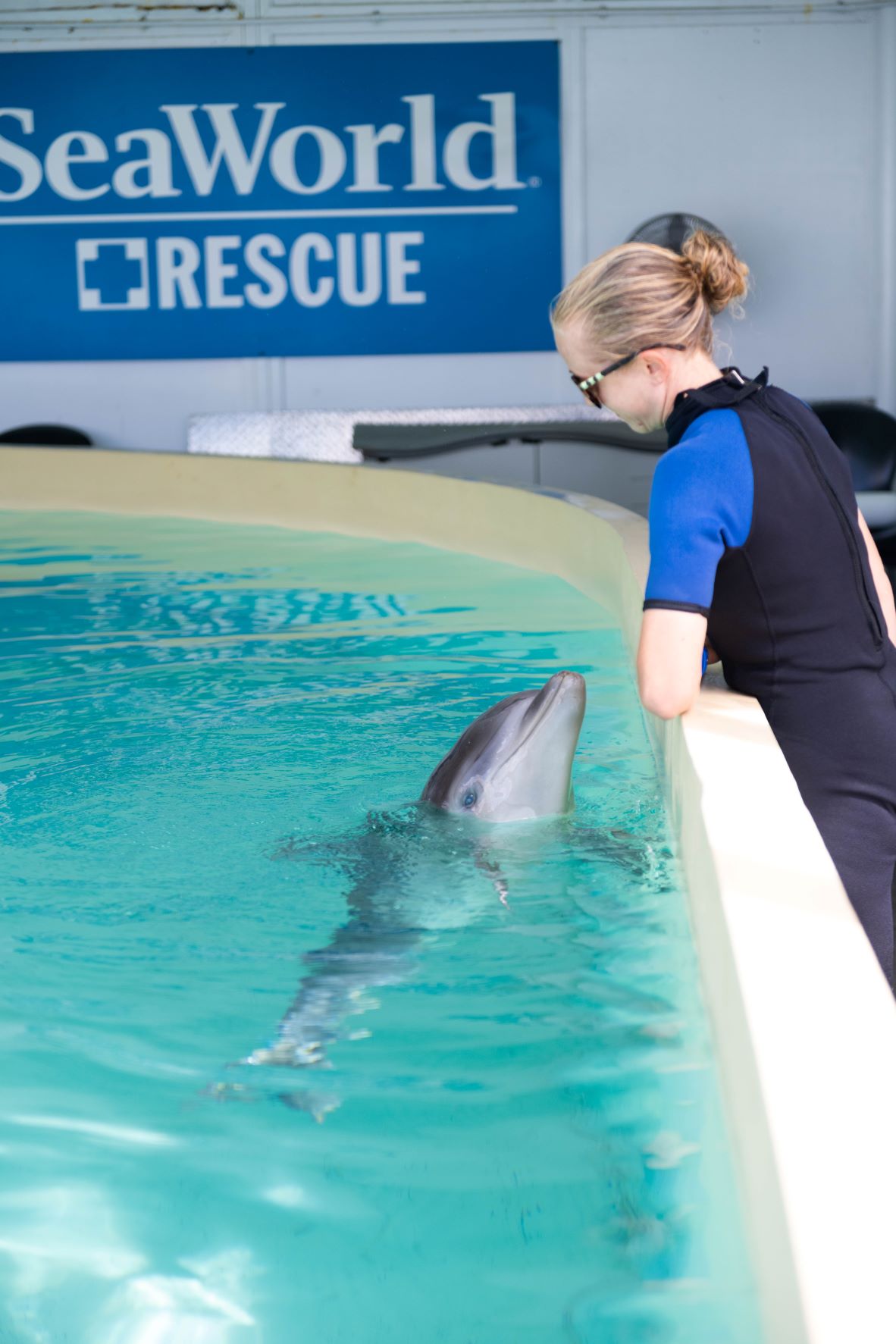 Baby Dolphin Rescue to Remain in SeaWorld Care as NOAA Deems Him Non-Releasable - Florida Parks